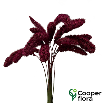 Arquivo Produtos - Página 52 de 60 - Cooperflora